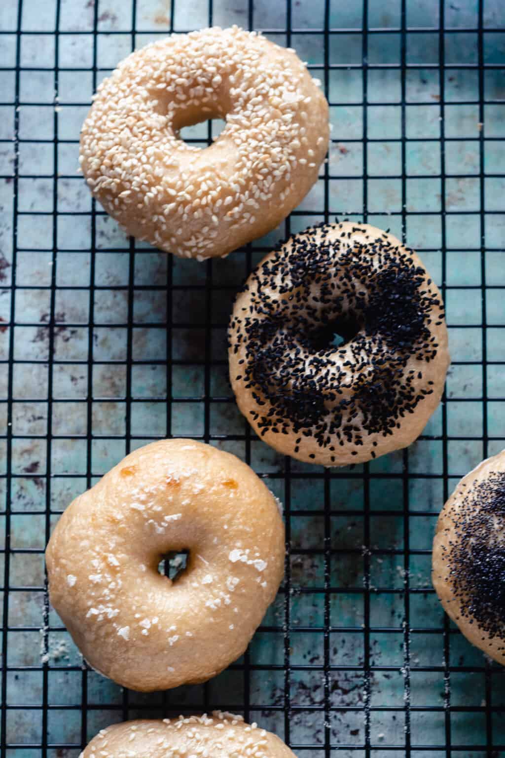 a good bagel is hard to find - Blossom to Stem