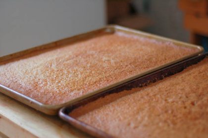 S'mores Cake with Toasted Marshmallow Meringue Frosting - Blossom to Stem