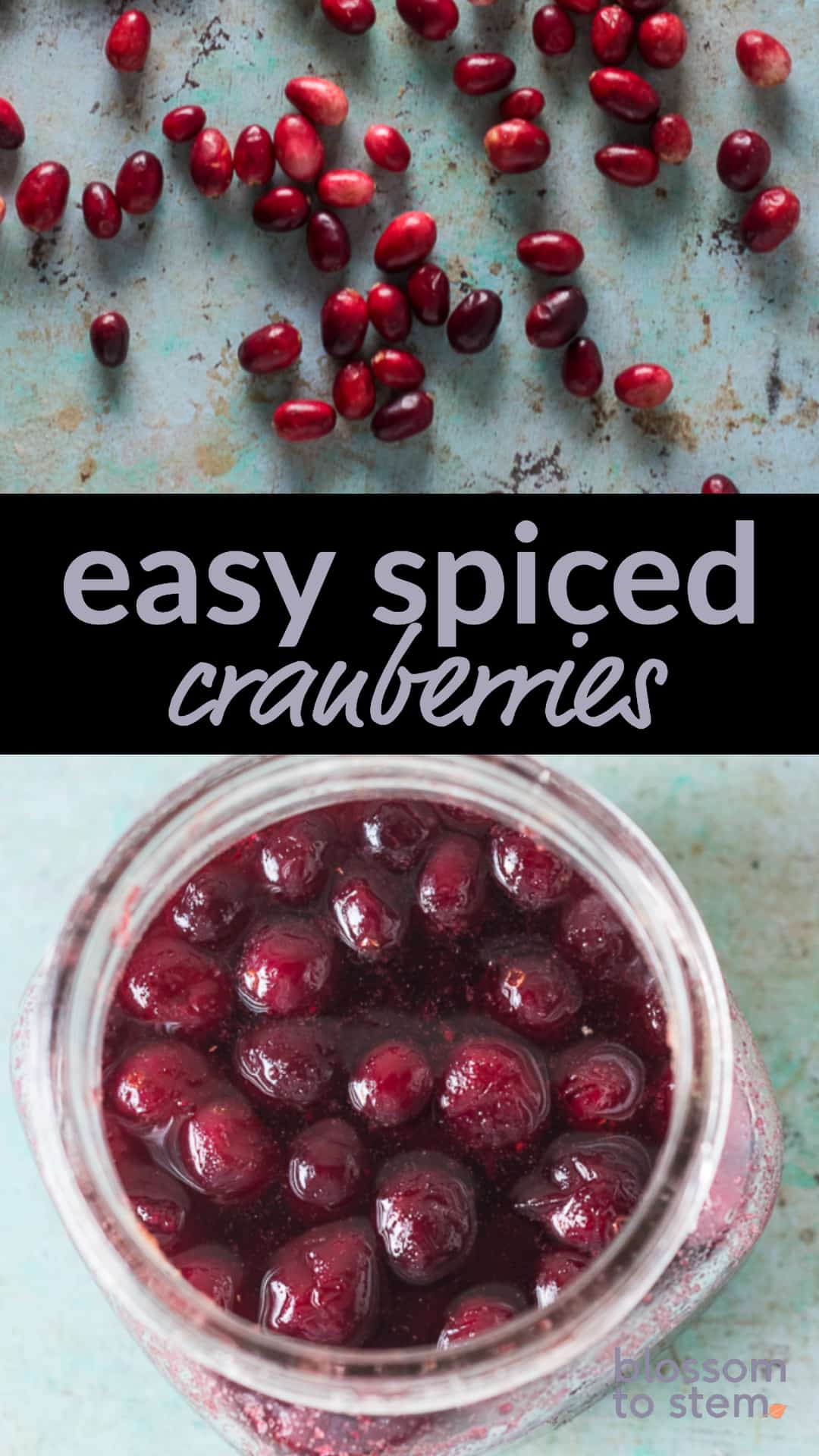 Spiced Cranberries - Blossom to Stem