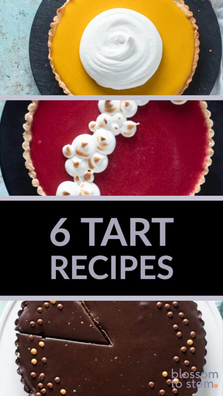 Tart Recipes, elegant and delicious desserts - Blossom to Stem