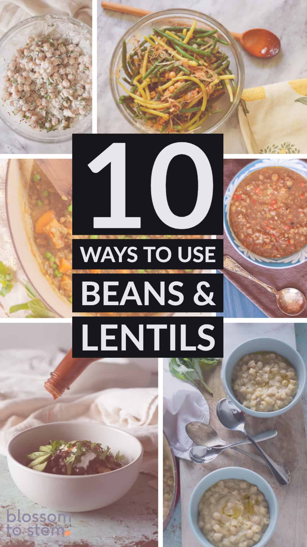 10 Ways to Use Beans & Lentils - Blossom to Stem