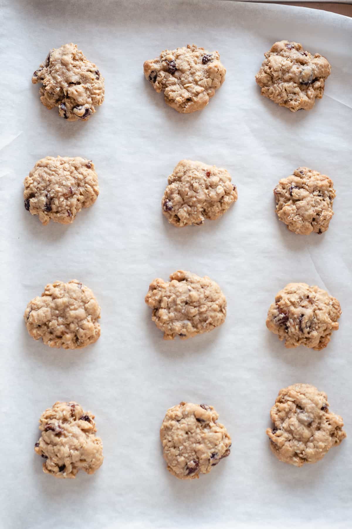 Soft and Chewy Oatmeal Raisin Cookies - Blossom to Stem