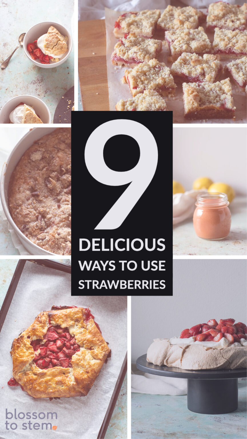 Strawberry Recipes for Spring and Summer - Blossom to Stem