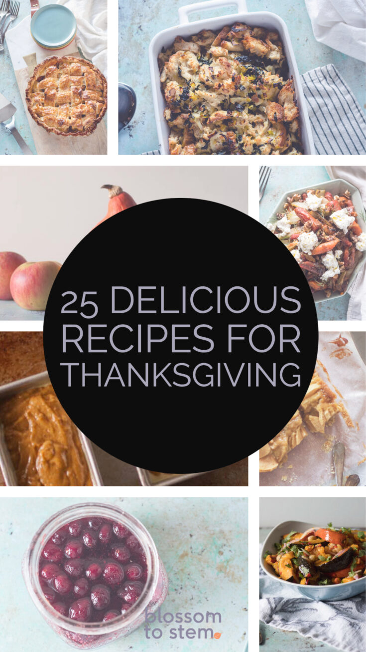 25 Delicious Recipes for Thanksgiving - Blossom to Stem