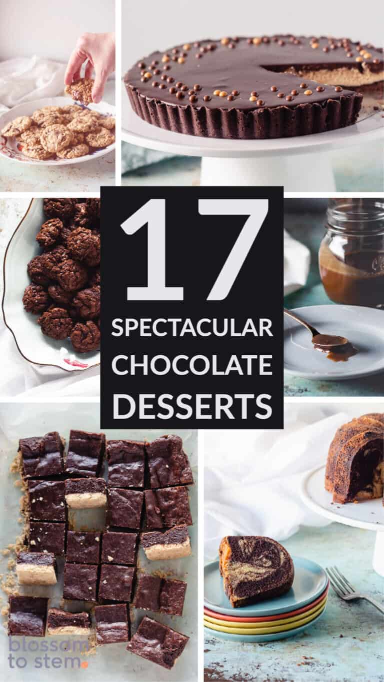 Spectacular Chocolate Desserts - Blossom to Stem