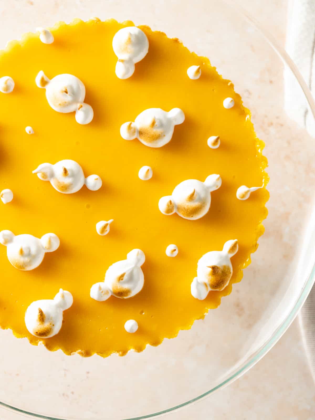 Lemon Ginger Tart Story - Blossom to Stem