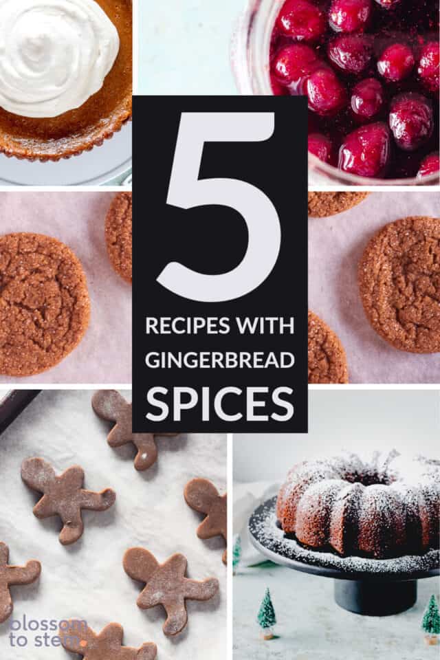 5 Recipes with Gingerbread spices - Blossom to Stem